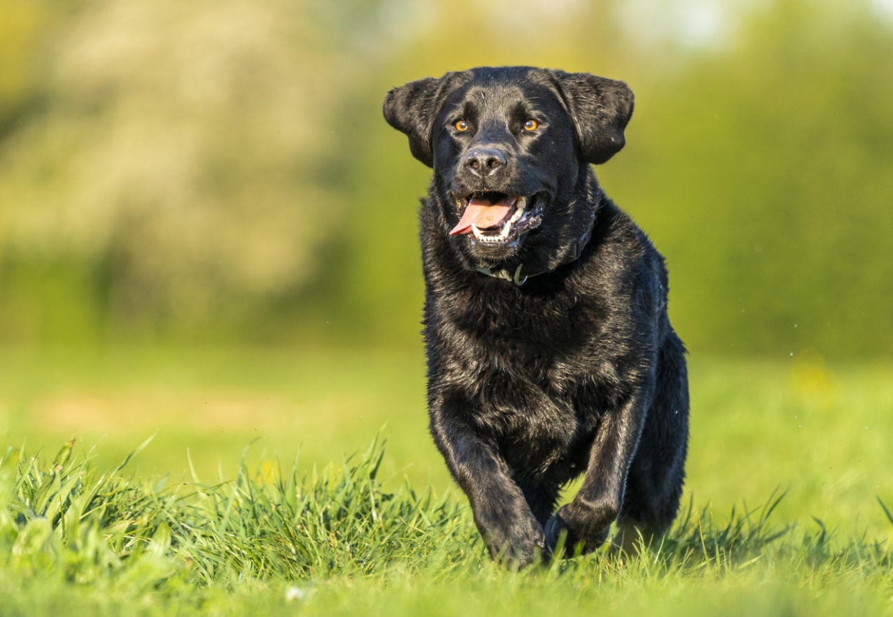 Co warto zobaczyć w Żaganiu i okolicach – zabytki i atrakcje ...